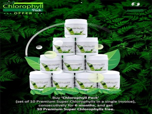 Chlorophyll Pack Offer | Designing Perfect Life