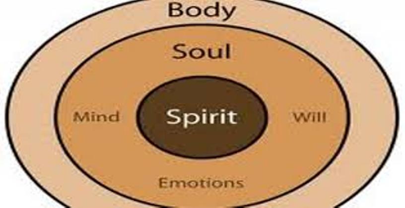 Healthy Soul | Designing Perfect Life