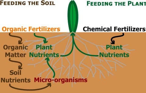 Organic Agri Fertilizer – Designing Perfect Life